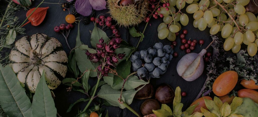 Gadelier | les spontanés