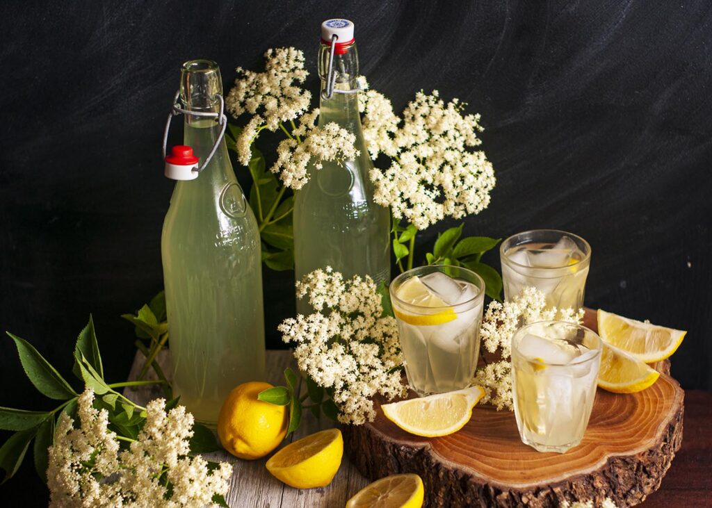 Limonade maison aux fleurs de sureau | les spontanés